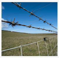 China Anti Theft Razor Barbed Wire 350kgf Tensile Razor Wire Fence for sale