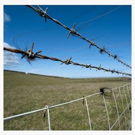 China Anti Theft Razor Barbed Wire 350kgf Tensile Razor Wire Fence for sale