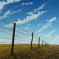 China High Tensile Strength Galvanized 100m Barbed Wire Fencing  Preserve Prison for sale