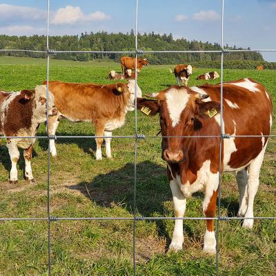 China 25m 30m 50m 100m Iron Hinge Joint Fence Galvanized Hinge Joint Mesh for sale