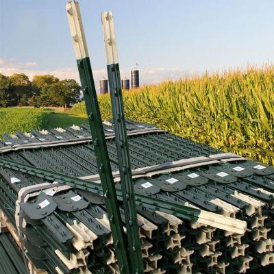 China Green Painted Metal Fence T Post 6.5ft Steel Studded Fence Powder Coated for sale
