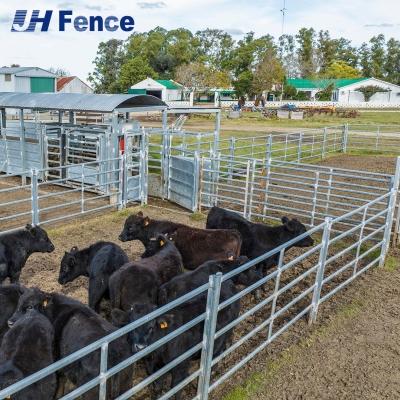 China Ultra-Secure Cattle Panel: Smooth Snag-Free Design Prevents Animal Injuries While Ensuring Total Containment for sale