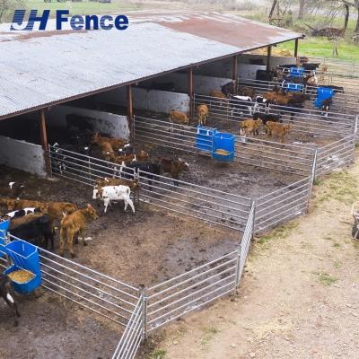 China Unbending Cattle Panel: Solid Welded Grid Construction Withstands Maximum Livestock Pressure & Impact for sale