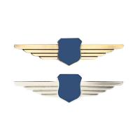 China Custom Metal Pin Badges 2D / 3D Personalised Metal Logo Badge for sale