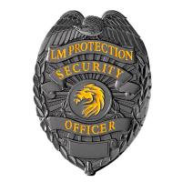 China Custom Printed Enamel Metal Badges Name Pin Badges 3D for School for sale