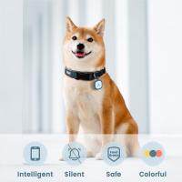 China Custom Silent Silicone Dog ID Tag Anti Lost QR Code Pet ID Collar Name Tag for sale