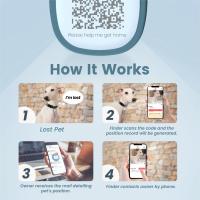 China Custom Silent Silicone Dog ID Tag Anti Lost QR Code Pet ID Collar Name Tag for sale