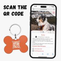 China Custom Stainless Steel Pet Tags Reflective Large with QR Code for sale