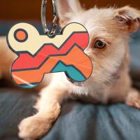 China Custom Stainless Steel Pet Tags Reflective Large with QR Code for sale