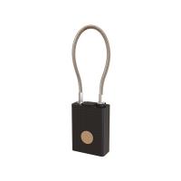 China SMDT Smart GPS Padlock 4G LTE IoT Lock for Truck Trailer Vehicle Anti-Theft 2200mAh for sale