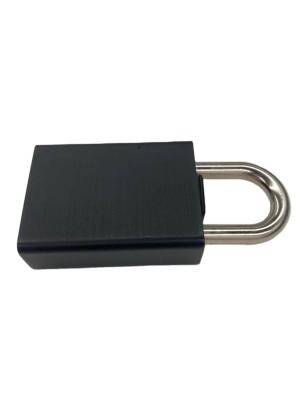 China Electronic Alarm Remote Access Padlock 3200Mah For Vehicle Shiping for sale