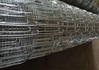 China Galvanized Fixed Knot Deer Fence 6ft Height 50m Roll Corrosion Resistant Field Fence for sale