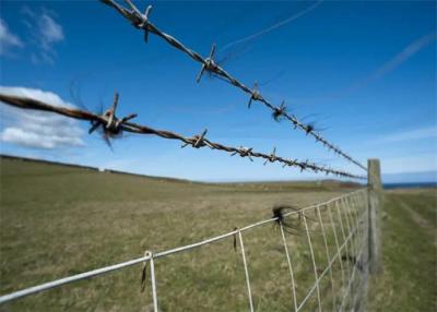 China Galvanized Steel Field Fence 50m Roll 4ft Height Fixed Knot Deer Fence for Farm Garden Protection for sale