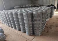 China 2.5mm Wire Dia Hot Dipped Galvanized Fixed Knot Field Fence 8ft Height for Farm Deer Control for sale