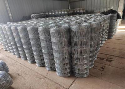 China 2.5mm Wire Dia Hot Dipped Galvanized Fixed Knot Field Fence 8ft Height for Farm Deer Control for sale