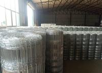China PVC Coated Fixed Knot Field Fence 500m Roll Square Holes Galvanized Steel Deer Fence for sale