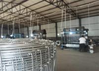 China Hinge Joint Field Fence 1.05m-2.4m Height Galvanized Corrosion Resistant Pasture Fencing for sale