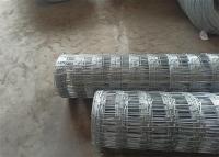 China Electro Galvanized Field Wire Fence Rust Resistance Farm Field Fence for sale