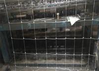 China Square Hole Field Wire Fence 2.5mm Line Wire Diameter Horse Fence for Farm for sale