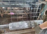 China Fixed Knot Deer Fence 6ft Galvanized Steel Wire 1.8-3.5mm Outdoor Security for sale