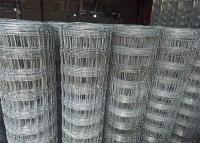China Giant Shuttle Fixed Knot Deer Fence 50m Roll 2-5mm Wire Dia Hot-Dipped Galvanized Farm Fencing for sale