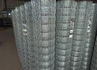 China Square Hole Field Wire Fence 2.5mm Line Wire Diameter Horse Fence for Farm for sale