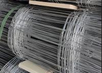China 4 Inch × 4 Inch Opening Field Wire Fence for sale