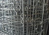 China Steel Wire Field Fence For Deer for sale