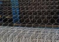 China Sturdy Iron Wire Gabion Mesh for Plant Protection for sale