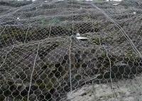 China Double Twist Hexagonal Gabion Mesh Box 50-1200g/m2 Galvanized Steel for Erosion Control for sale