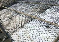 China Sturdy Iron Wire Gabion Mesh for Plant Protection for sale