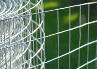 China 3mm Construction Welded Wire Mesh 1/2 x 1/2 Inch for Industrial and Agricultural Use for sale