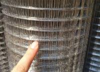 China 1/4 Inch PVC Coated Welded Wire Mesh Rolls 6.4mm Mesh Size for Green Building Fencing for sale