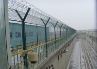 China 50 × 50MM Wire Mesh Welded Fence Free Sample Available for sale