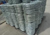 China Electro Galvanized Barbed Wire Double Strand Silver Color Free Sample for sale