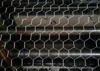 China 26G Hexagonal Wire Netting Hardware Cloth 150ft Galvanized Fence Roll for sale