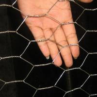 China 26G Hexagonal Wire Netting Hardware Cloth 150ft Galvanized Fence Roll for sale
