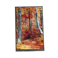 China High Definition 800x1280 7 Inch TFT LCD Screen 400nits MIPI Interface LCD Module for sale