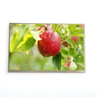 China 10.1 Inch HD TFT LCD Display 1280x800 IPS With Luminance 350nits Optional Touch Panel for sale