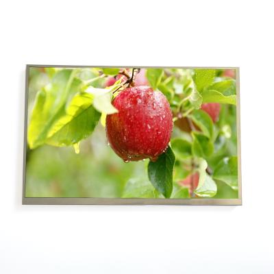 China 10.1 Inch HD TFT LCD Display 1280x800 IPS With Luminance 350nits Optional Touch Panel for sale