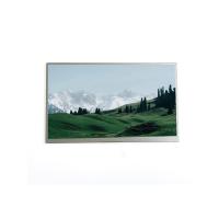 China Custom 10.1 Inch TFT LCD Industrial Display Module 1024x600 TN Panel 250nits LVDS Interface Wide Temperature LCD for sale