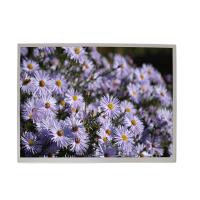 China Industrial Grade 12.1 Inch IPS 1024x768 LVDS High Brightness 1000nits Wide Temperature LCD Module Screen for sale