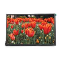 China Custom 10.1 Inch Wide Temperature LCD 1920x1200 IPS 500 Nits LCD Screen LVDS Interface for sale