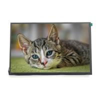 China Custom 10.1 Inch Wide Temperature LCD 1920x1200 IPS 500 Nits LCD Screen LVDS Interface for sale