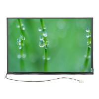China 1920x1200 IPS LCD Screen 10.1 Inch 1000nits High Brightness LCD Display With MIPI Interface for sale