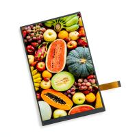 China 7 Inch HD TFT LCD Display 800x1280 300nits Wide Temperature LCD for sale