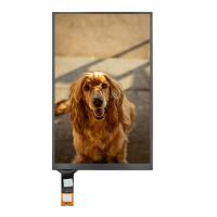 China 10.1 inch PCAP Touch Display IPS 800x1280 250nits mipi interface HD tft lcd display Wide Temperature for sale