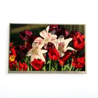 China 10.1 Inch 1000nits High Brightness 1280x800 LVDS Interface  IPS Wide Temperature HD TFT LCD Display Custom Touch Screen for sale