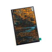 China 7 inch TFT LCD Screen 800x1280 resolution 300nits with MIPI interface 40pins LCD Module for sale