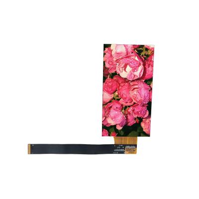 China 5.98 Inch 1440x2560 HD IPS MIPI 4-Lane Interface TFT Display 300nits Wide Temperature Custom Touch Screen for sale